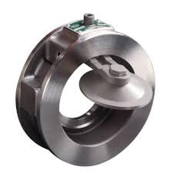 Brayrite Dual Plate Check Valve Wafer Type Asme 150600 Low Pressure Drop