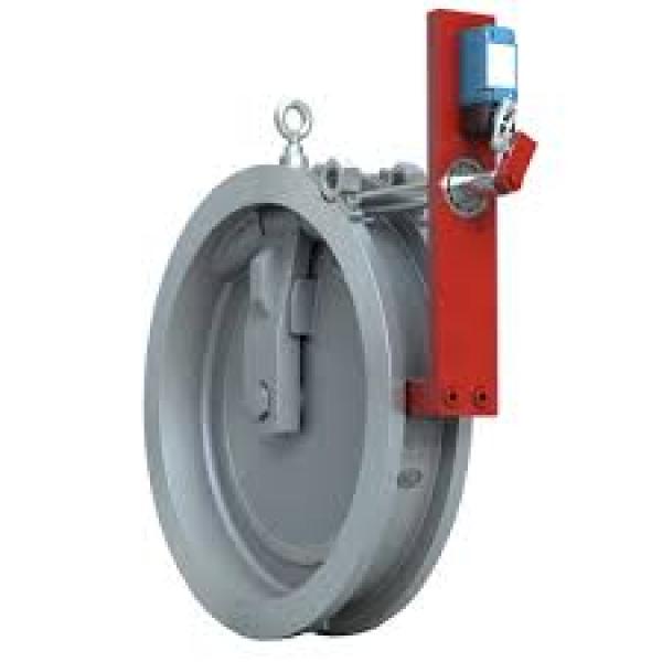 Bray Sa10 Dual Balanced Weights Cracking Pressure Disc Counterbalance ...